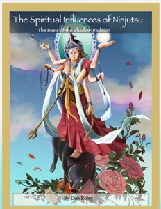 Colorado Springs Ninjutsu - Books